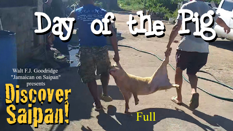 Day of the Pig (Full video!) – Discover Saipan with Walt F.J. Goodridge ...