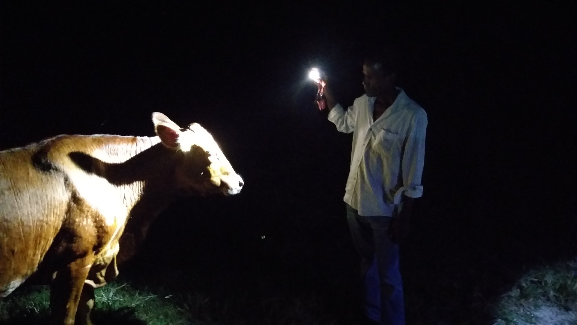 Midnight Slaughter on Saipan – Discover Saipan with Walt F.J. Goodridge ...